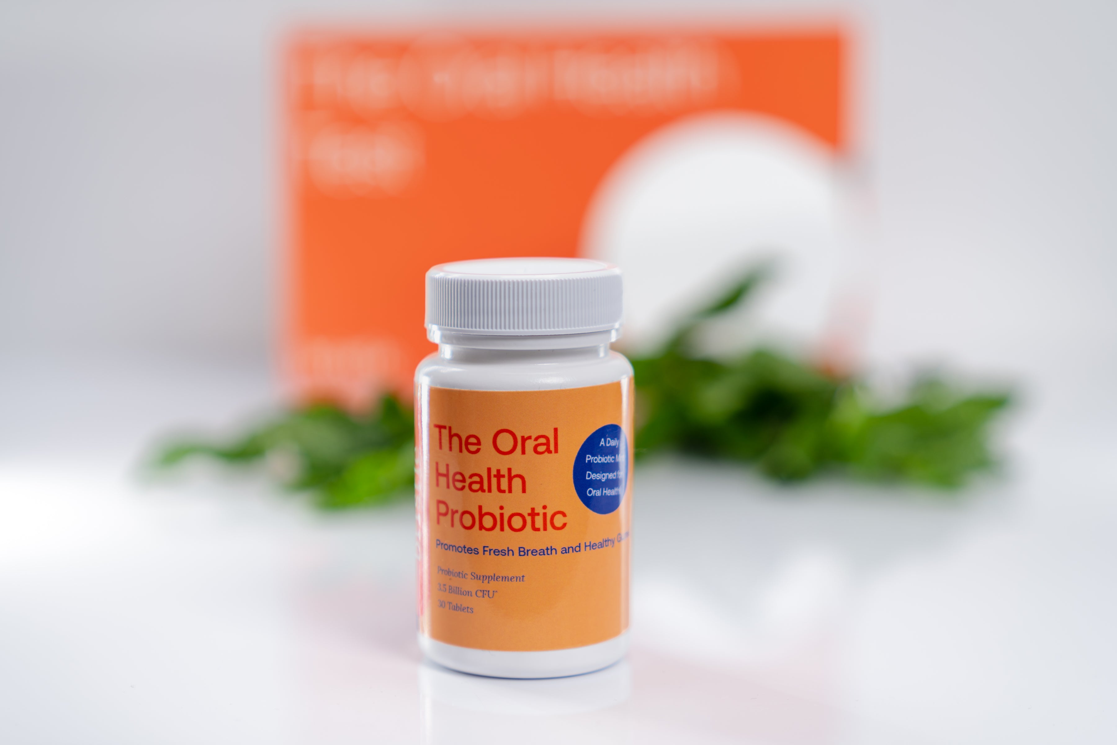 Bristle Oral Health Products
