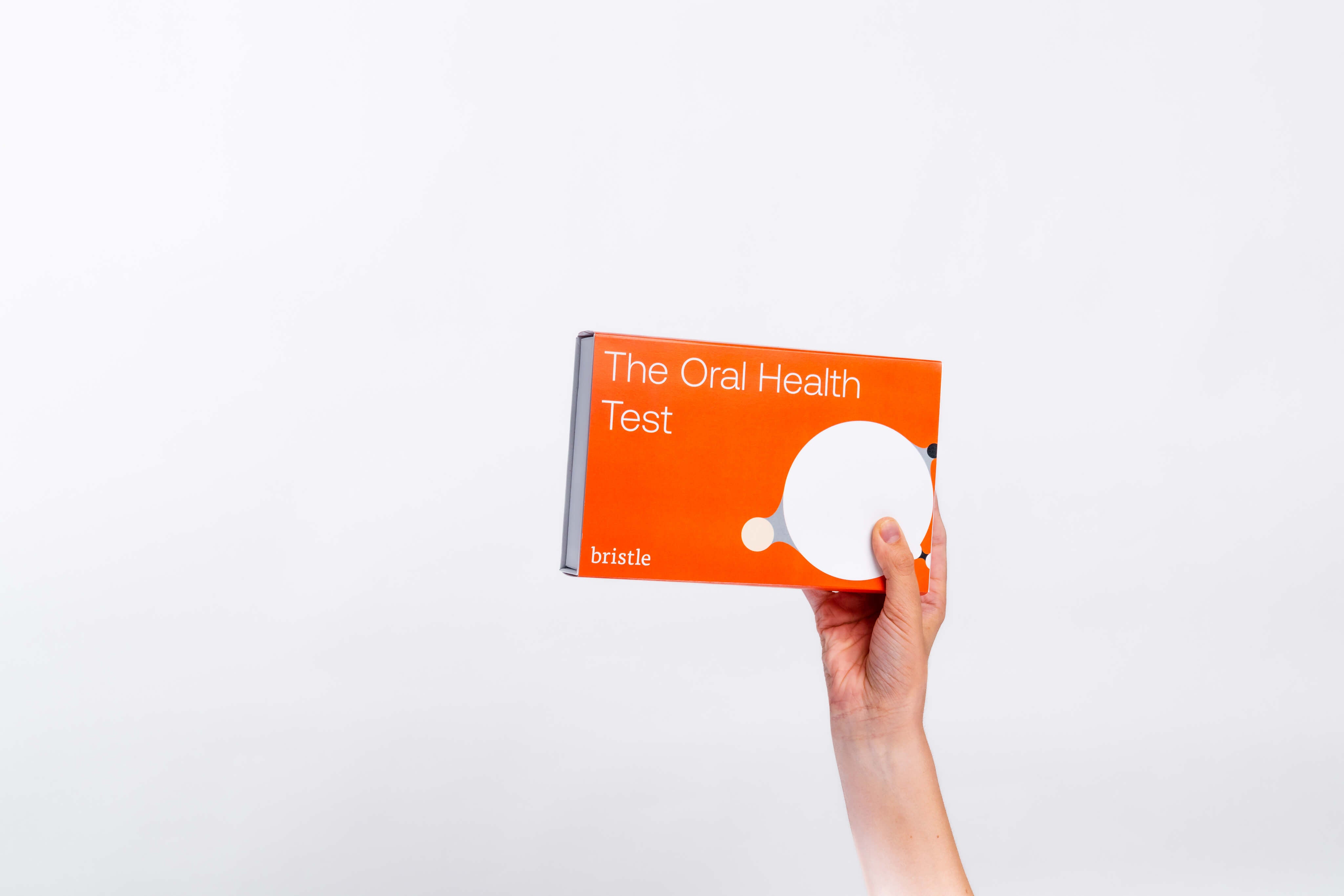 About our test – Bristle
